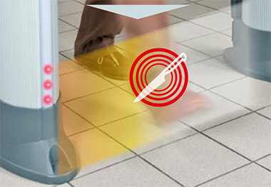 CEIA Security Metal Detectors